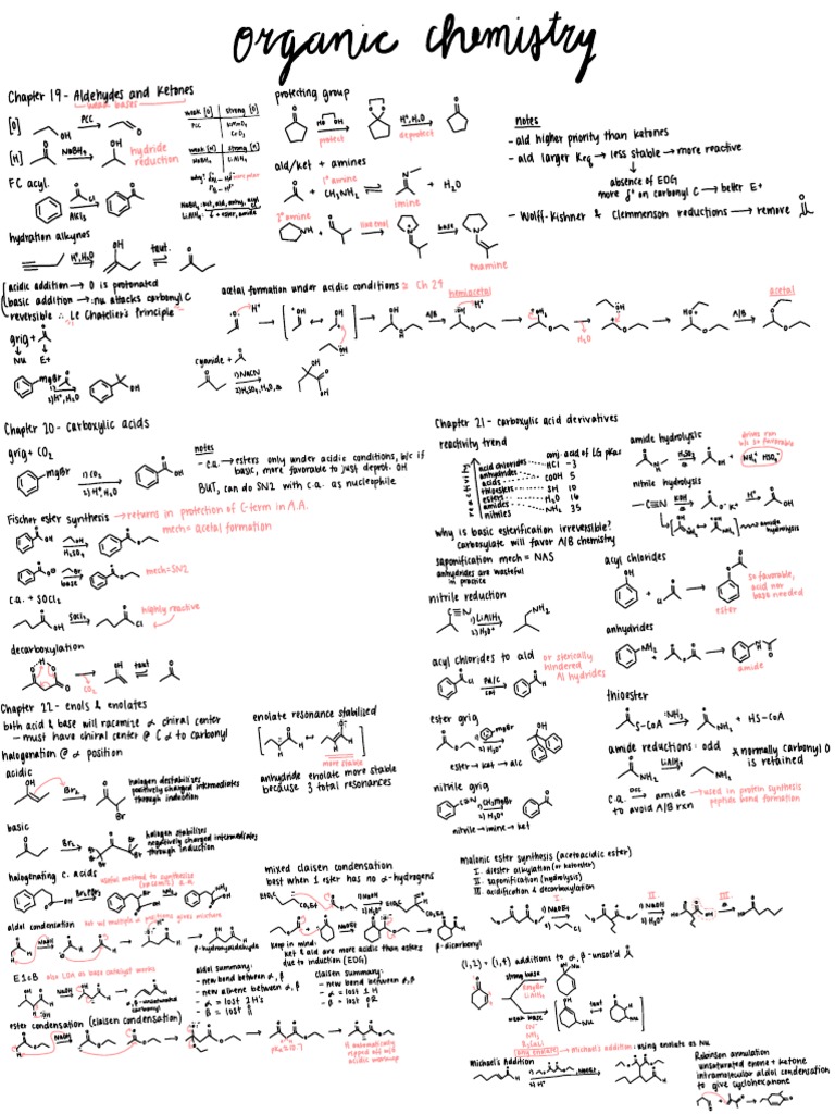 Organic Chemistry 3 | PDF | Ester | Amide