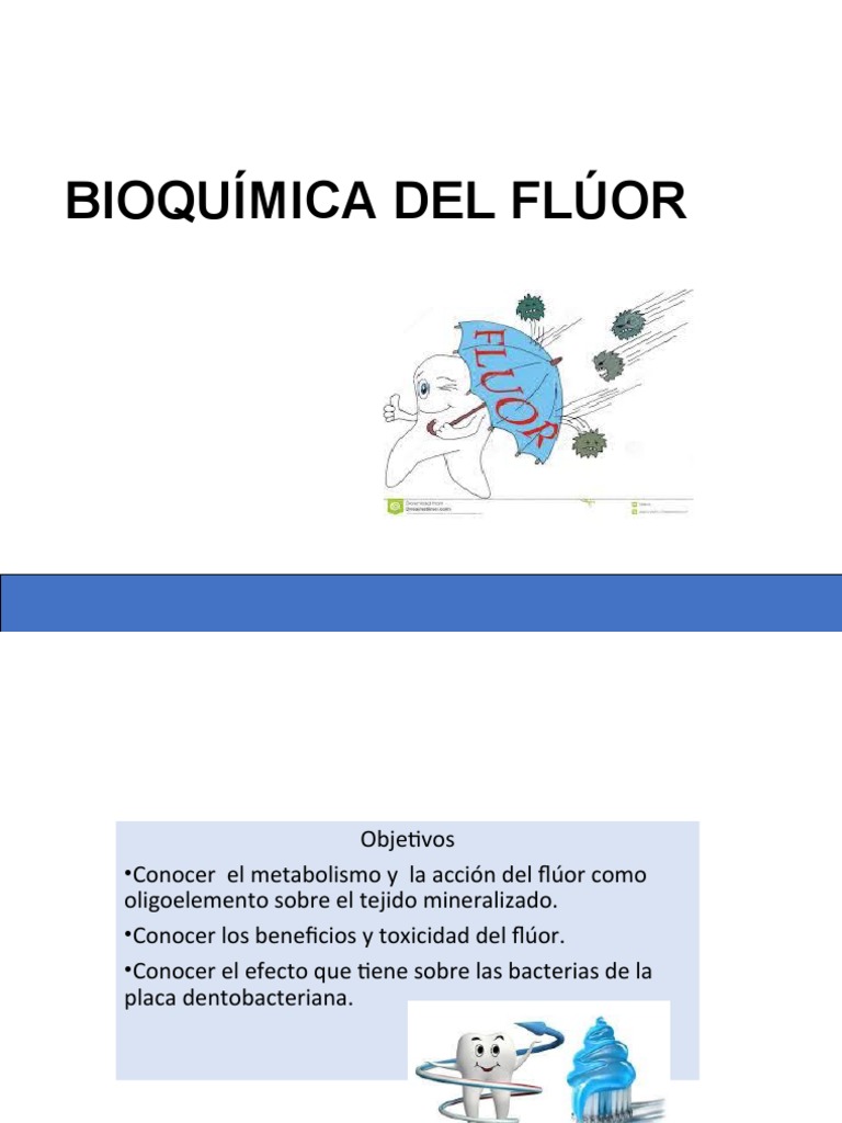 TEMA 8 - Bioquimica Del Fluor 2020 | PDF | Flúor | Fluoruro