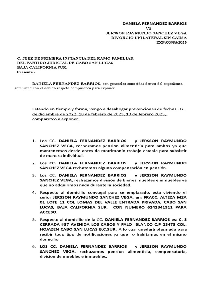 DANIELA FERNANDEZ BARRIOS - Docx FEBRERO PROMO | PDF