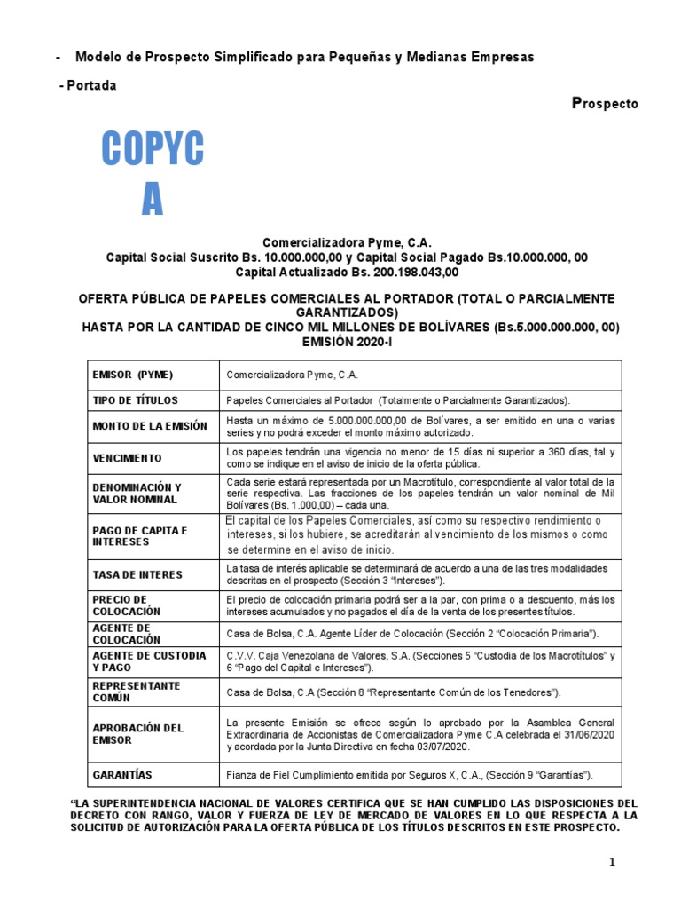 Modelo Prospecto Digital Pyme Papeles Comerciales | PDF | Sector ...