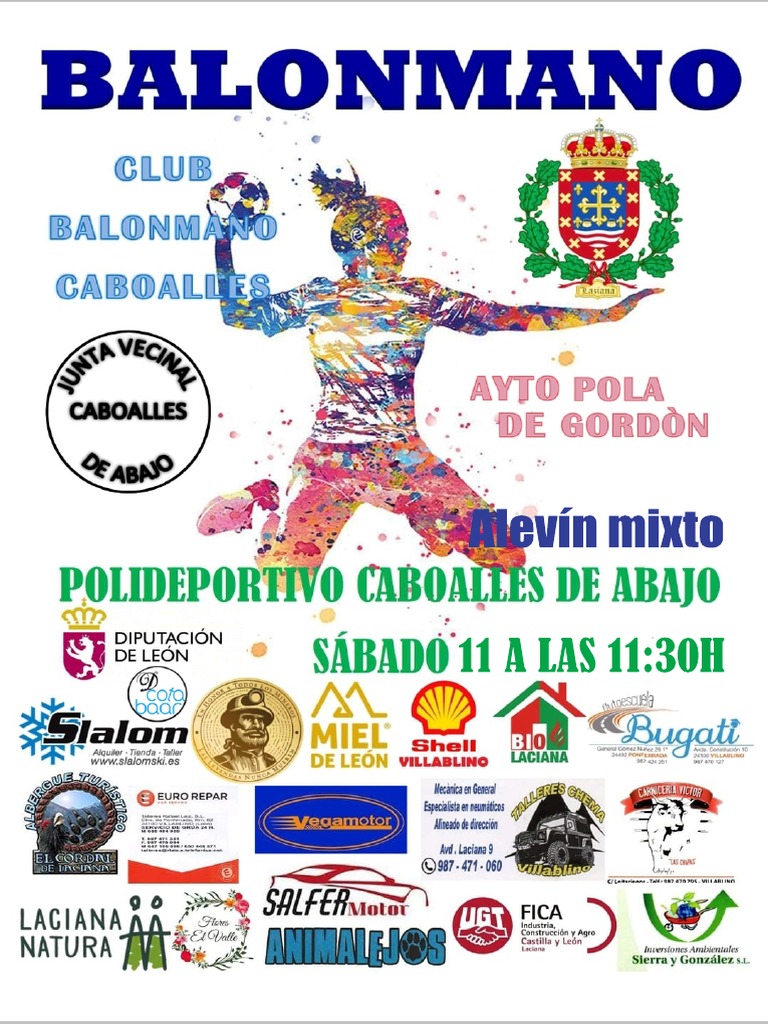 Cartel Balonmano | PDF