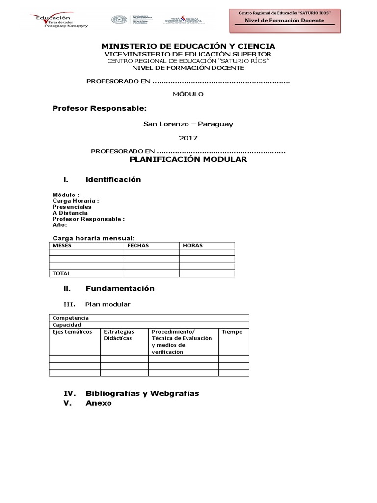 Esquema de Plan Modular y Diario | PDF | Maestros | Cognición