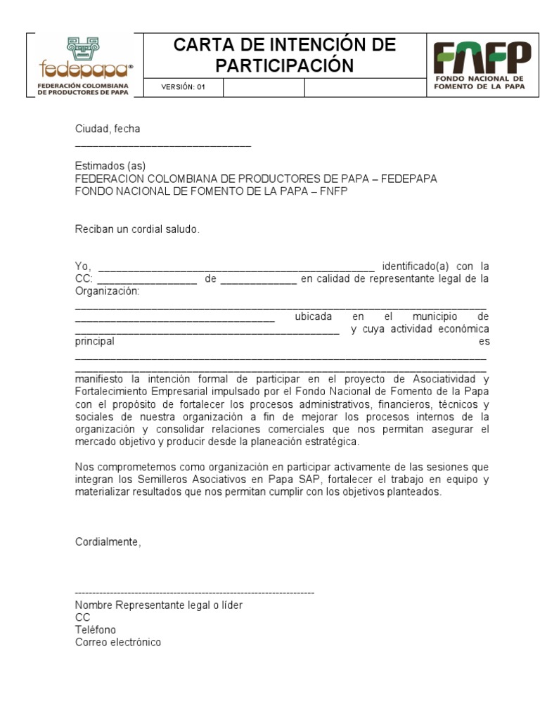 Carta de Intencion | PDF