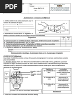 Contrôle SVT 3AC Semestre 2 | PDF | Nerf | Muscle squelettique