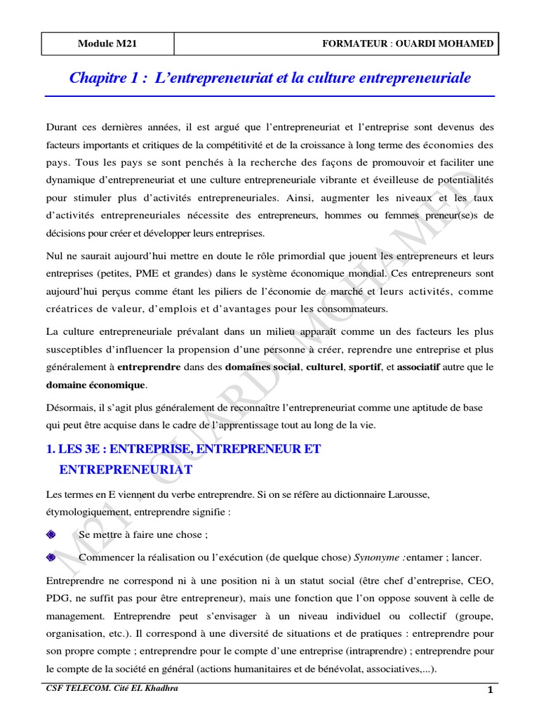 Chap 1-L'entrepreneuriat Et La Culture Entrepreneuriale | PDF