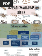 Retortamonas Intestinalis | PDF | Especialidades Medicas | Microbiología