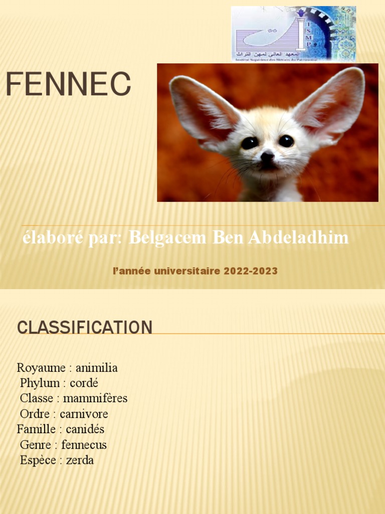 Fiche d'identité du fennec | PDF | Organismes