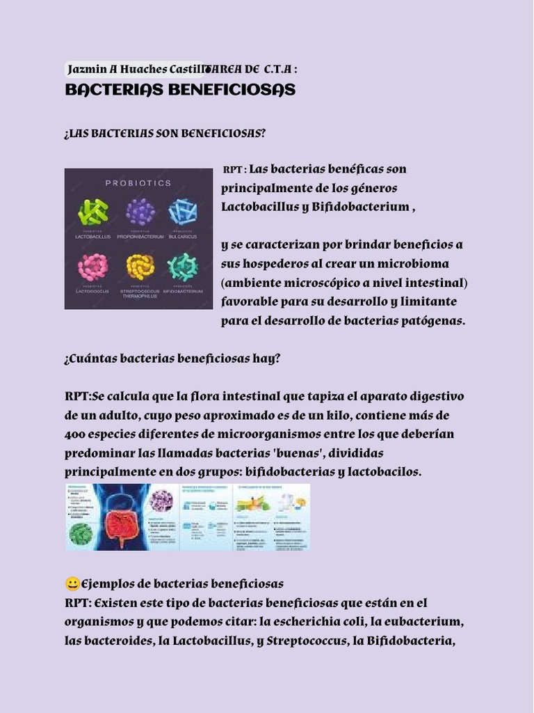 Las Bacterias | PDF | Las bacterias | Infección