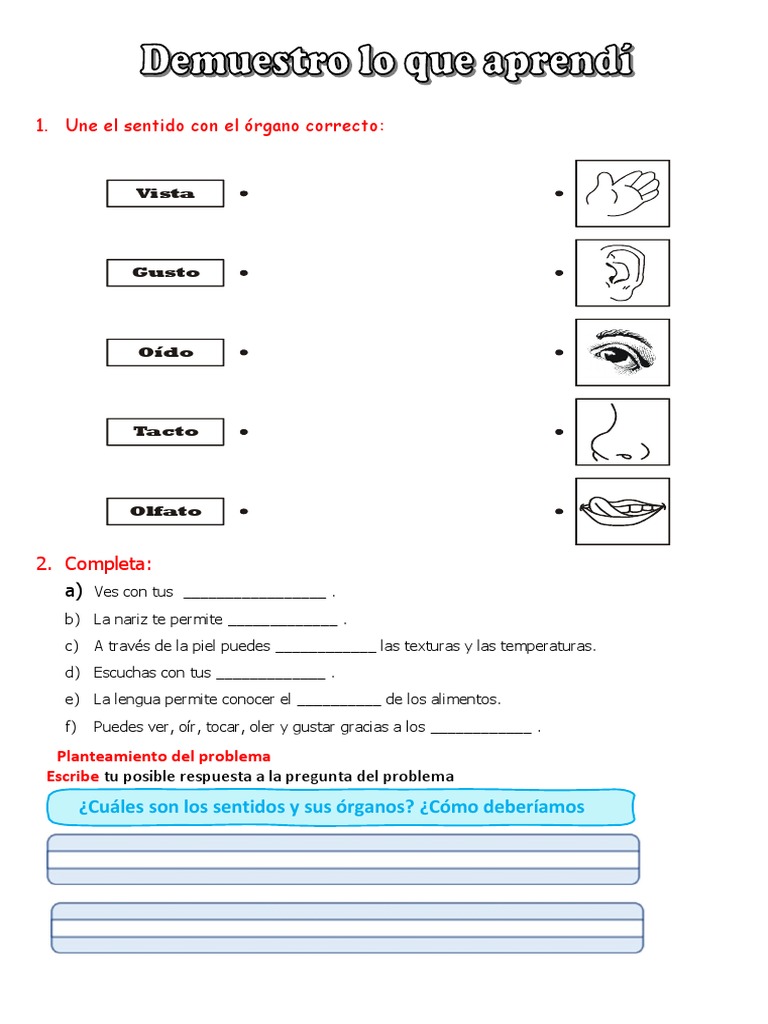Ficha D2 CT Los Sentidos y El Olfato | PDF