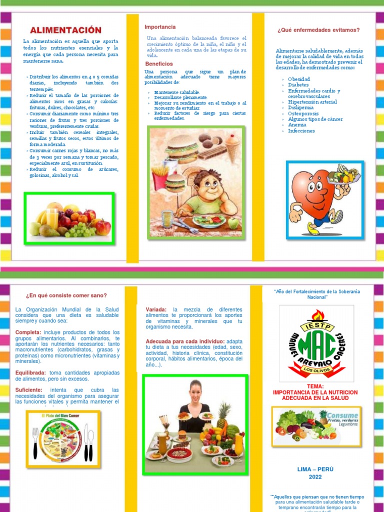 Triptico Alimentacion Saludable 1 | PDF | Alimentos | Dieta