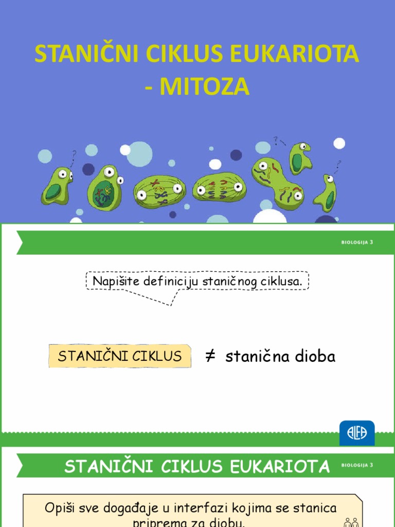 Stanični Ciklus Eukariota Mitoza Usmeno Odgovranje | PDF