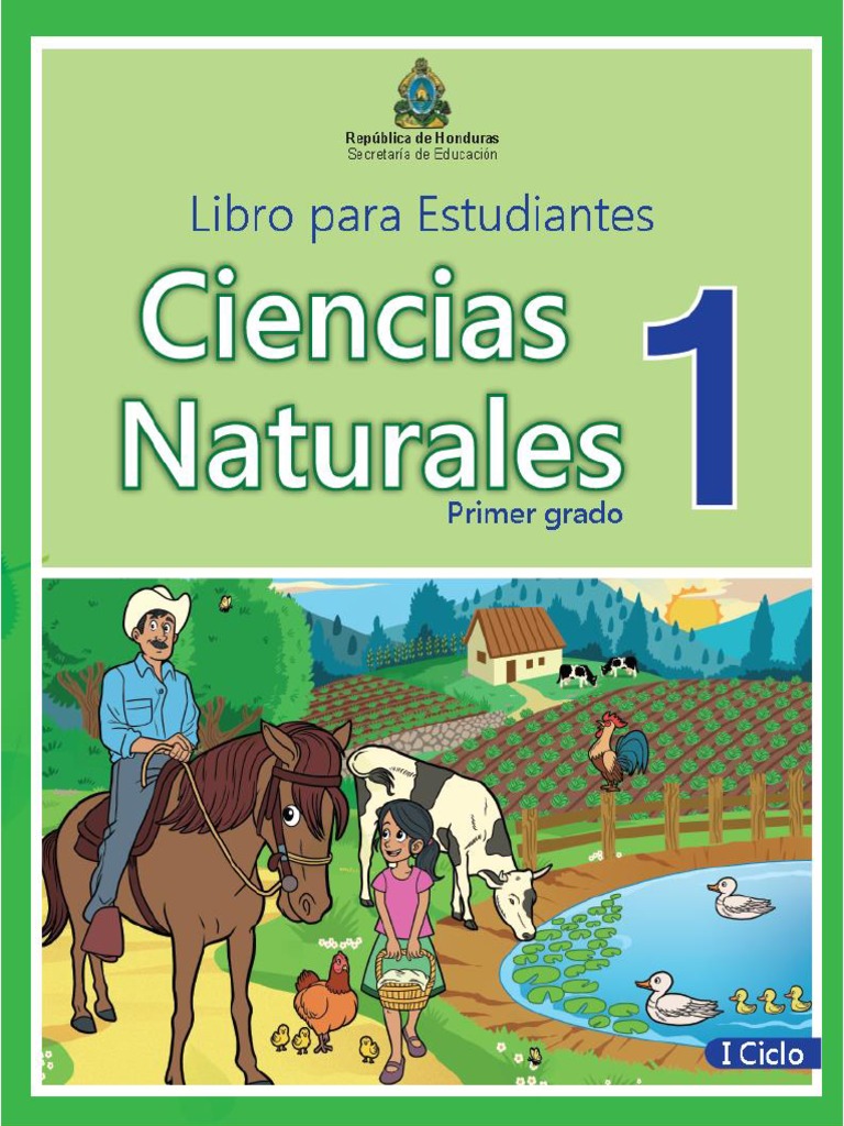 Unidad1 LTE 1G | PDF