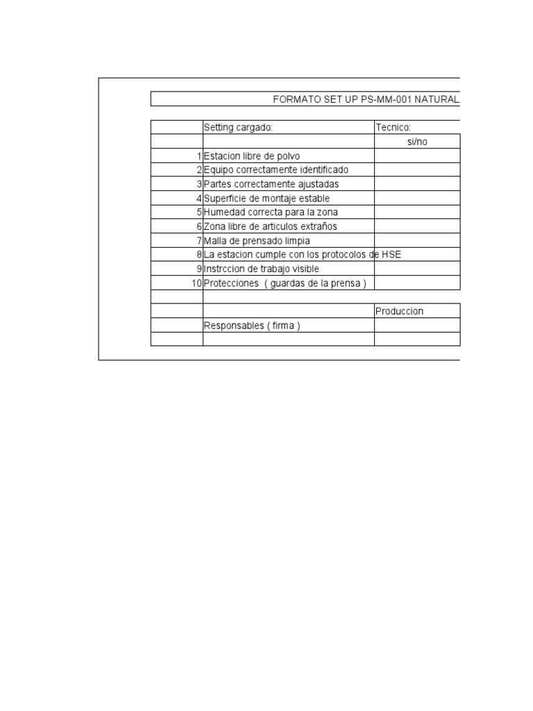Formato de Set Up | PDF