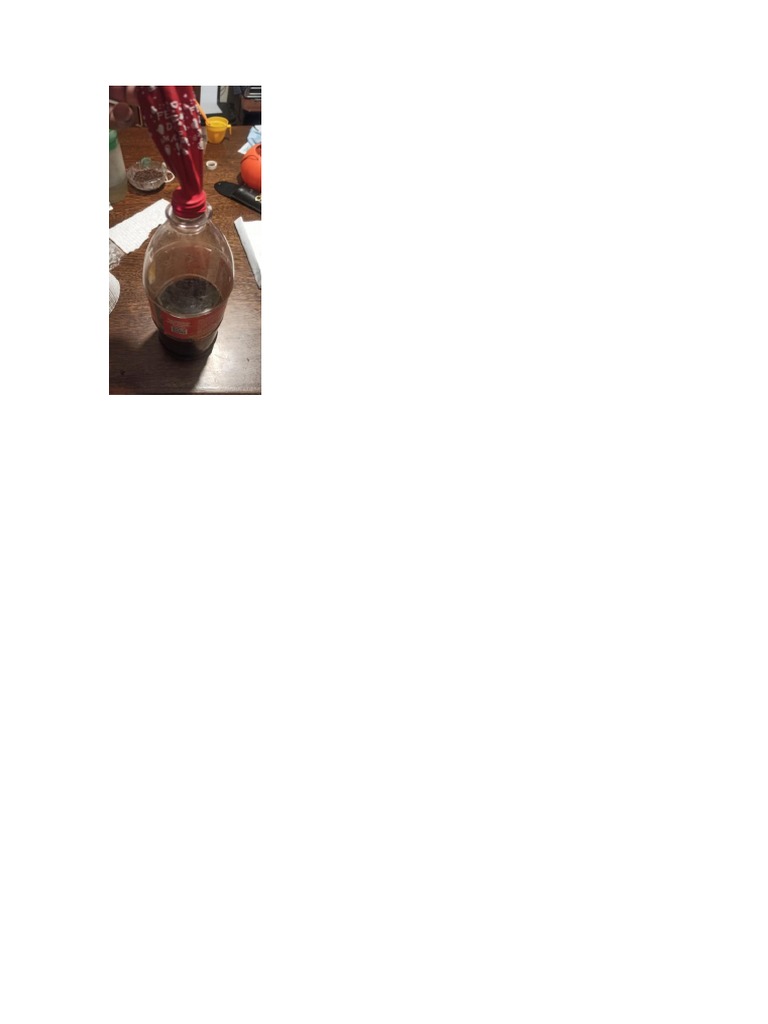 Proceso Cerveza | PDF