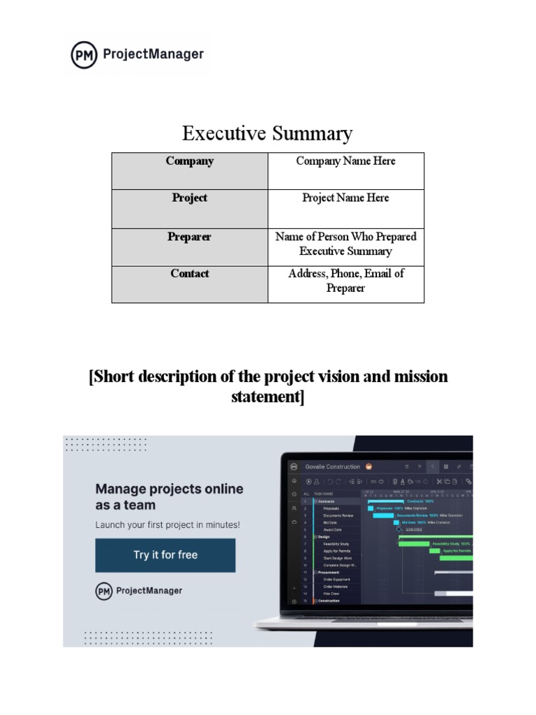 Projectmanager Executive Summary Template Nd23 Pdf