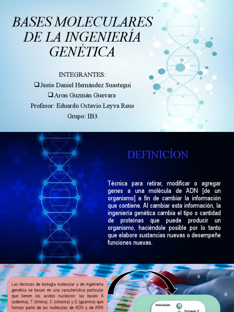 Bases Moleculares de La Ingeniería Genética | PDF | Genética | Adn