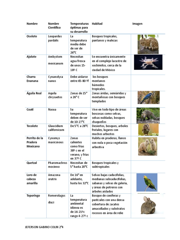 Animales de bosque templado y sus hábitats | PDF | Selva | Los bosques
