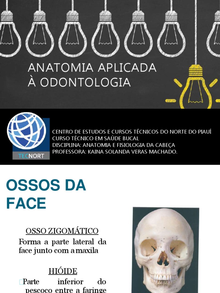 Anatomia Bucal e Dental | PDF | Dente | Boca