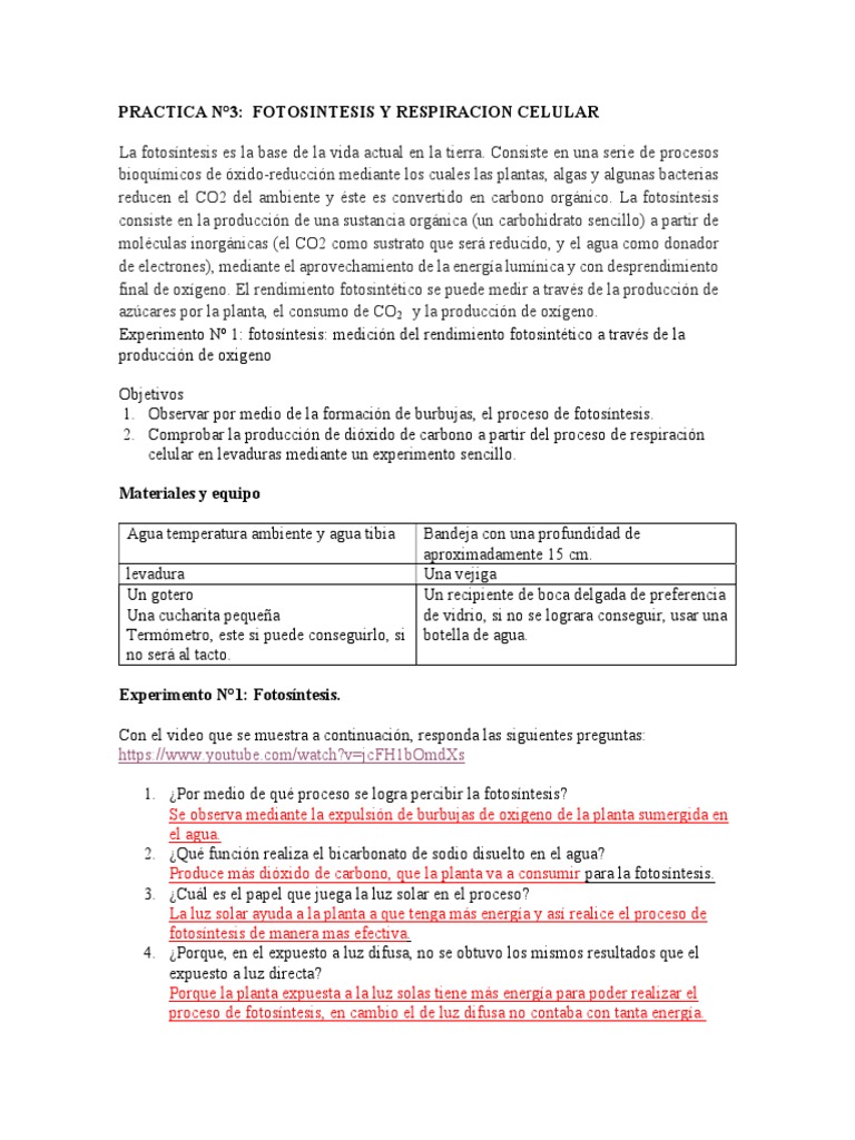 Practica N°3 Fotosintesis y Respiracion Celular | Descargar gratis PDF ...