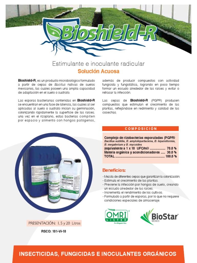 Bioshield | PDF | Las bacterias | Agua