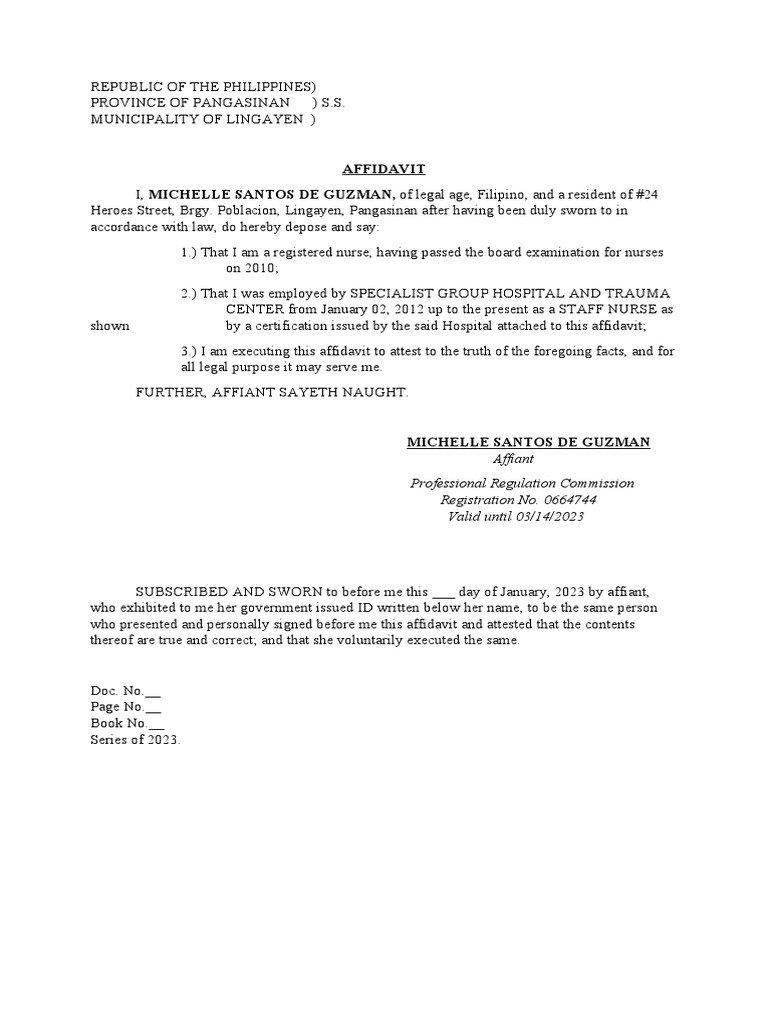 Affidavit of Employment | PDF