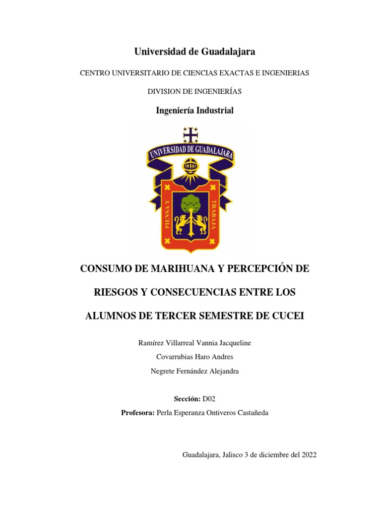 Consumo De Marihuana Y Percepción De Riesgos Y Consecuencias Pdf