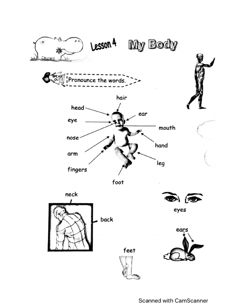 English Prathom 1 Lesson 4 | PDF