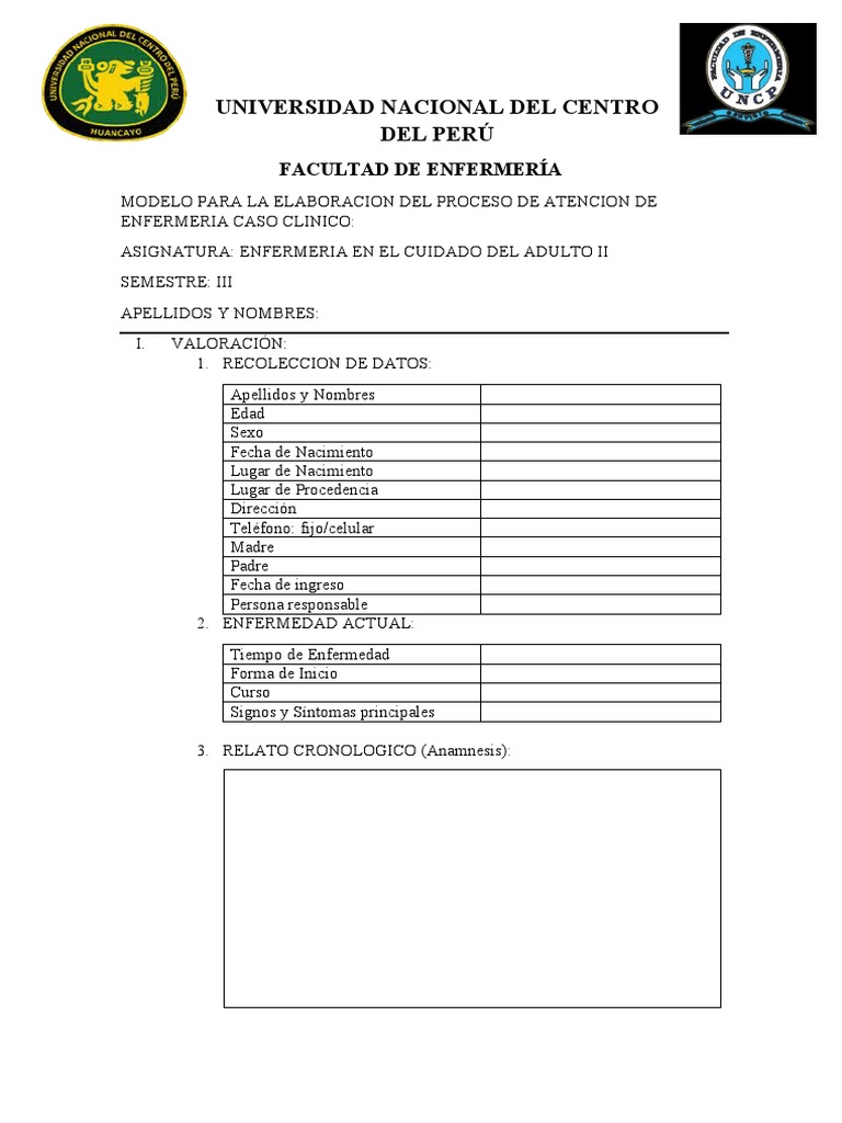 Modelo de PAE | PDF | Examen físico | Cuidado de la salud