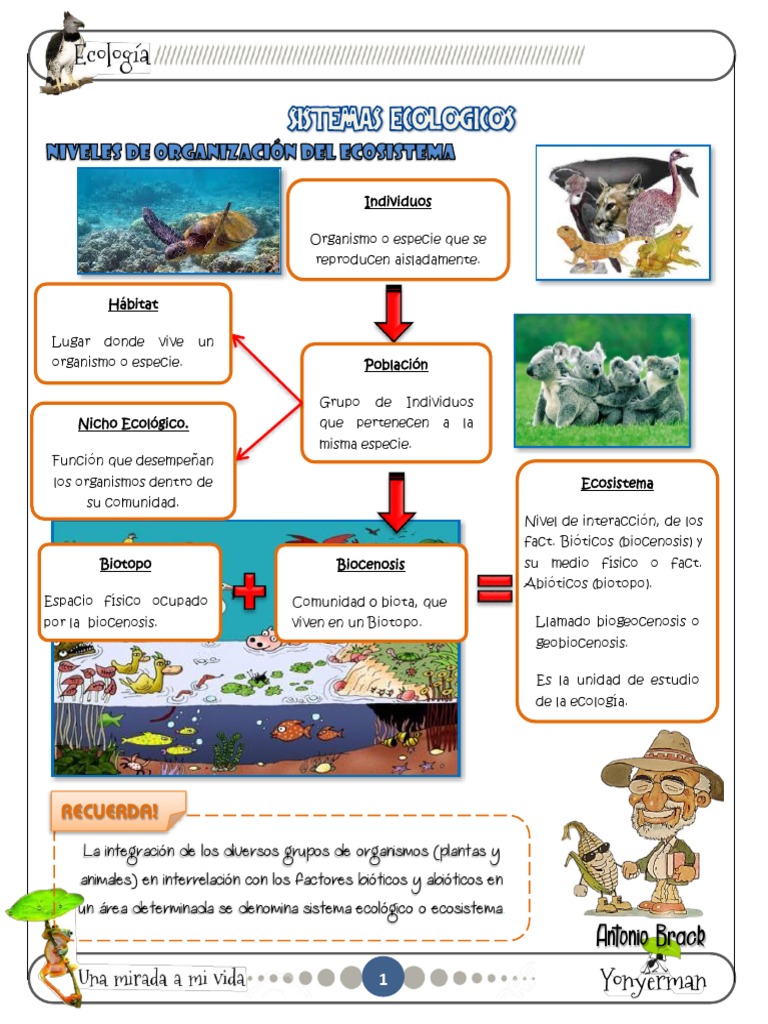 Boletin 04 - Ecología MACROFAGOS (Jonyer) | PDF | Ecosistema | Ecología