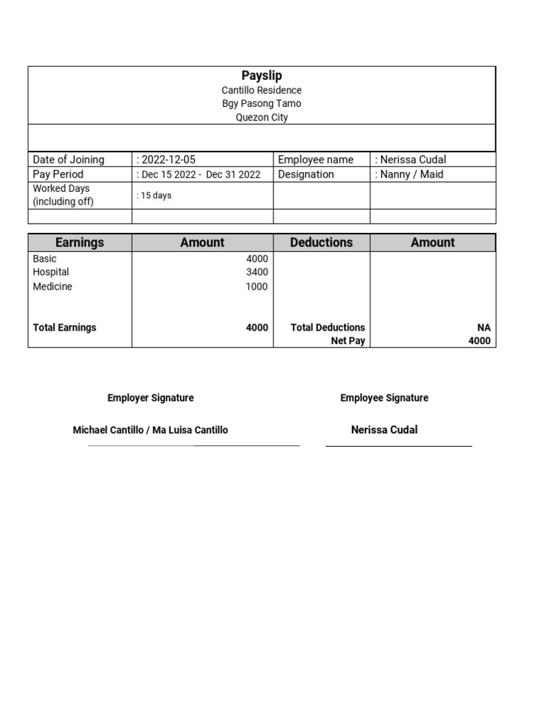 Payslip Dec 15 30 2022 | PDF