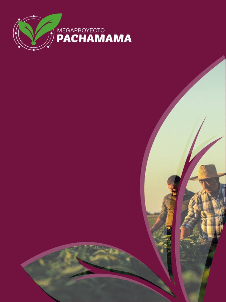 Brochure Megaproyecto Pachamama (1) | PDF