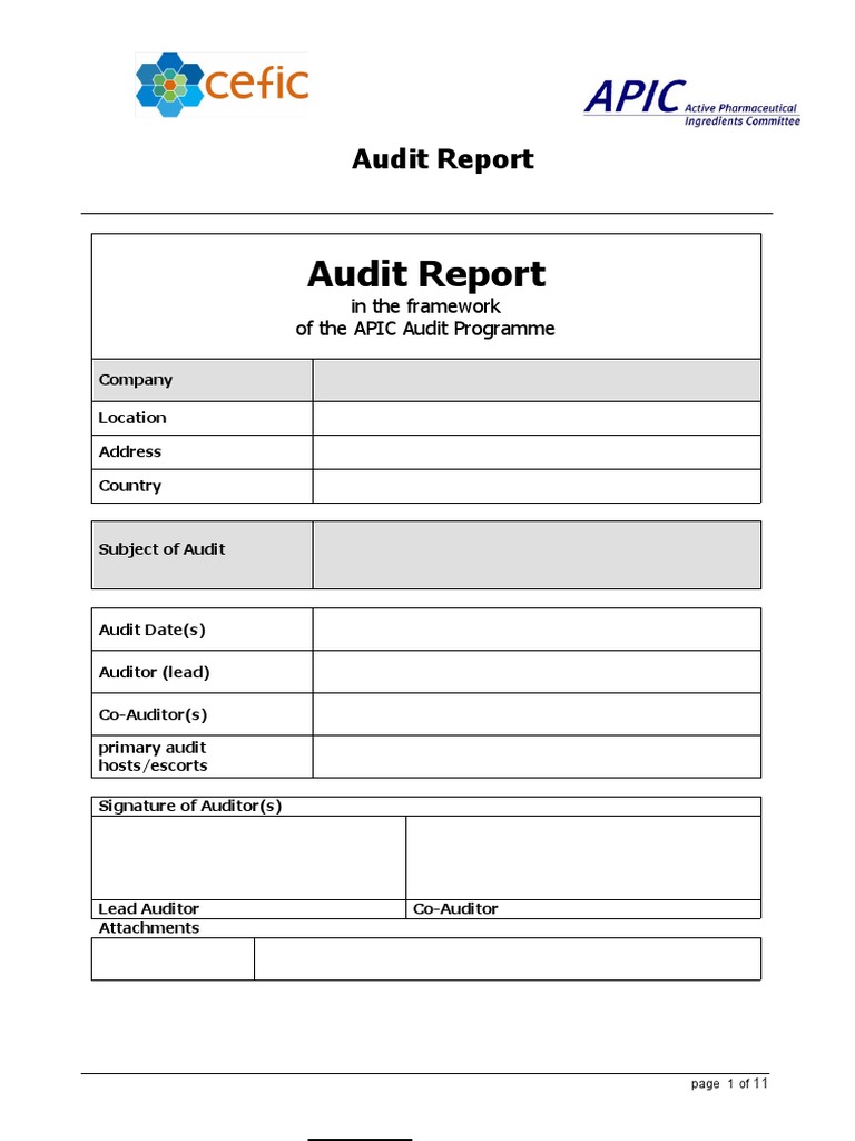 Annex 3 Auditing Guide Audit Report Template | PDF | Auditor's Report ...