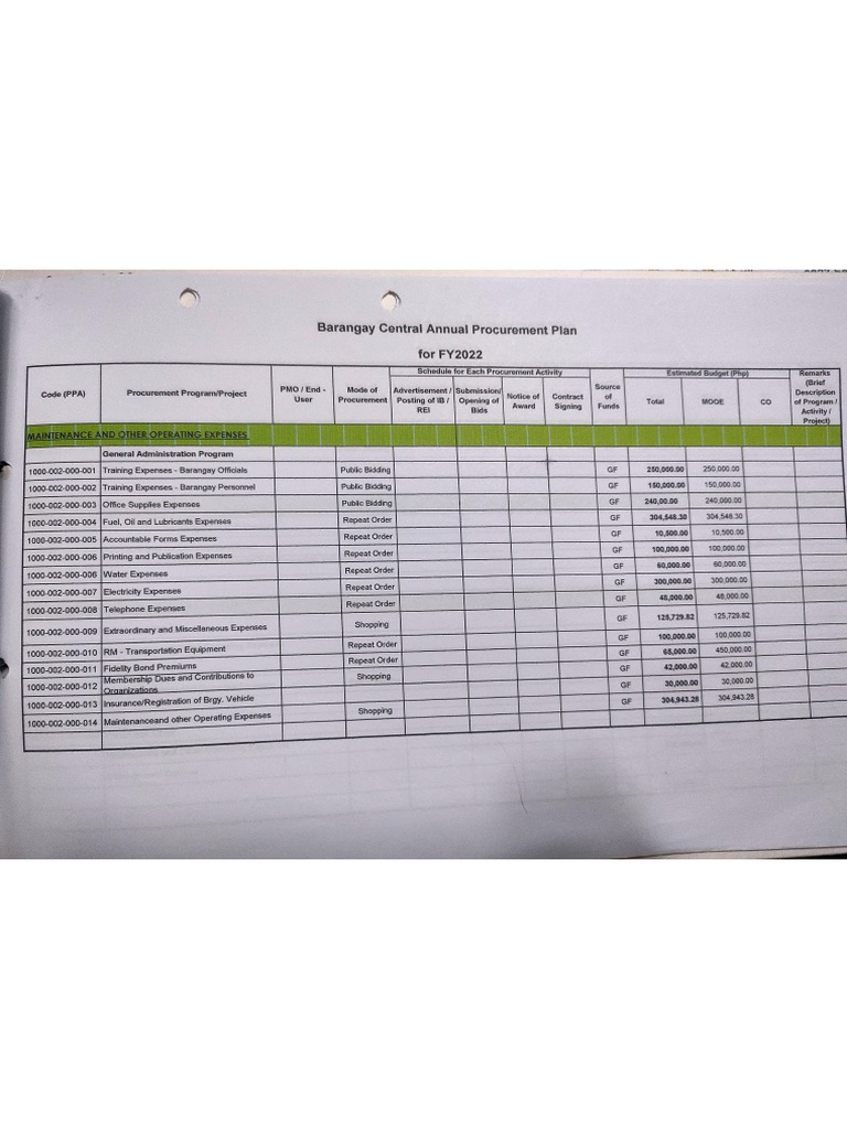 Annual Procurement Plan Pdf