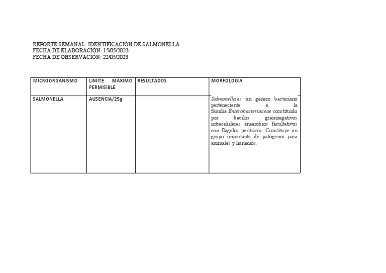 Reporte Semanal Micro | PDF