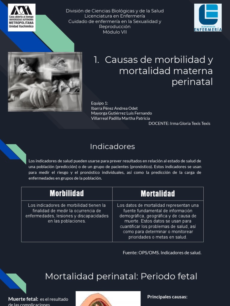 Causas de Morbilidad y Mortalidad Materna Perinatal | PDF | El embarazo ...
