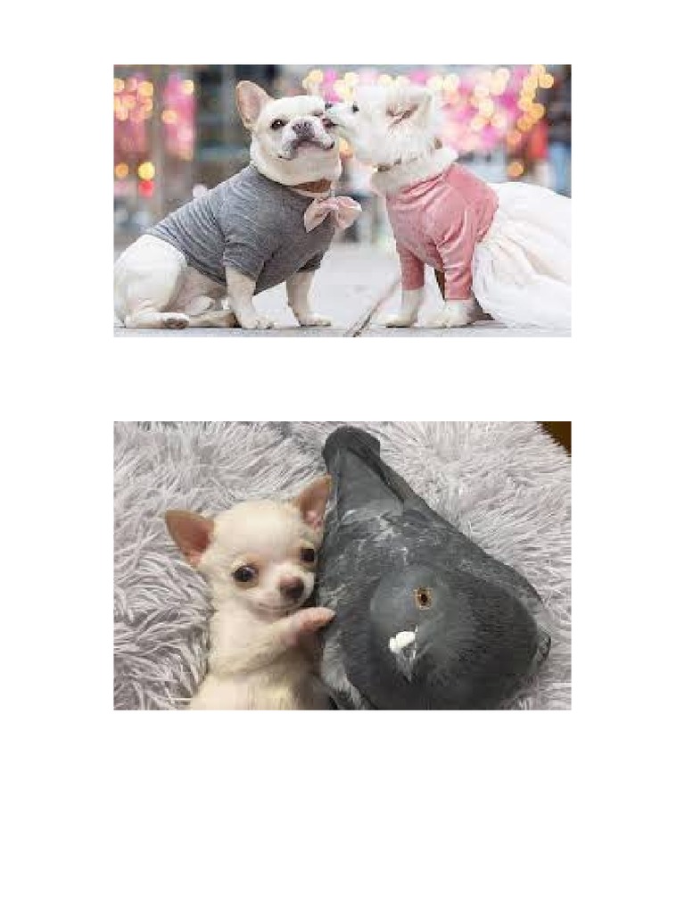 Amistad La Amistad Se Caracteriza Por Ser Incondicional y Duradera. Se ...