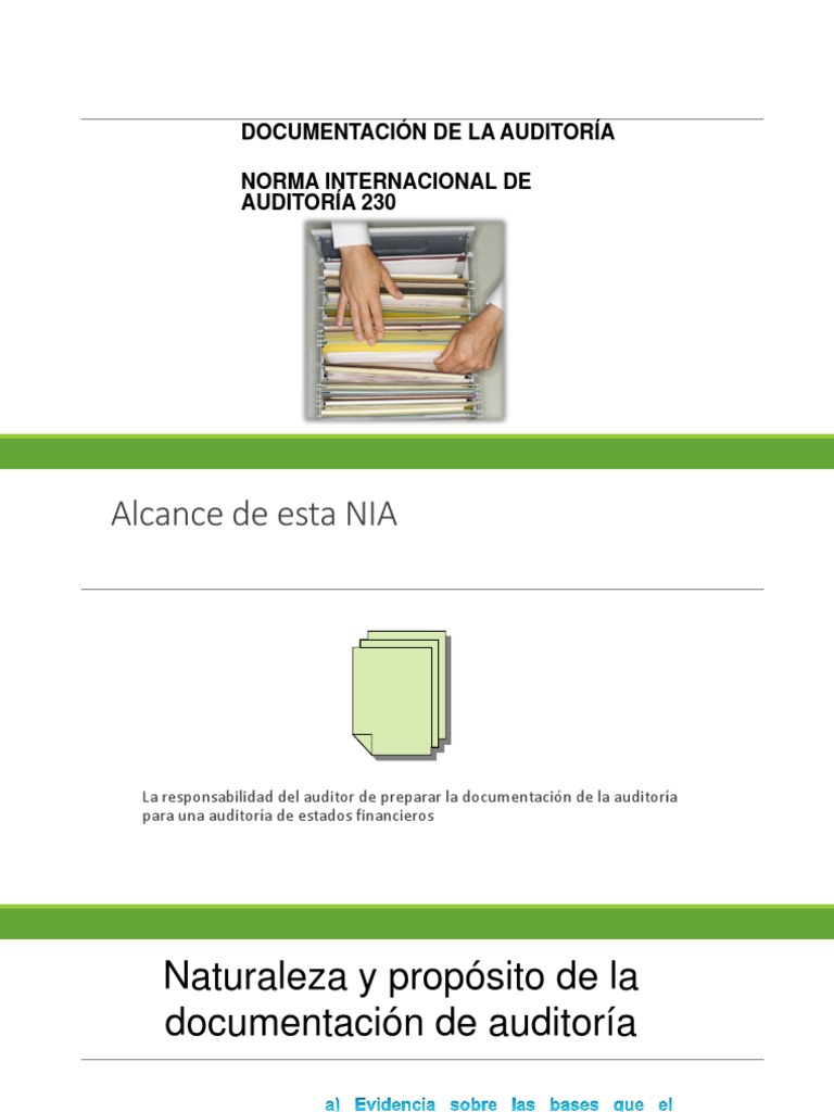 Isa 230 Documentación de La Auditoría | PDF | Auditoría | Contralor