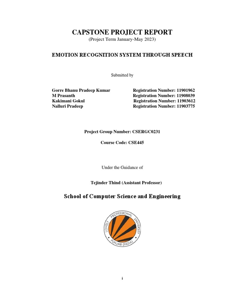 Capstone Project Report | PDF