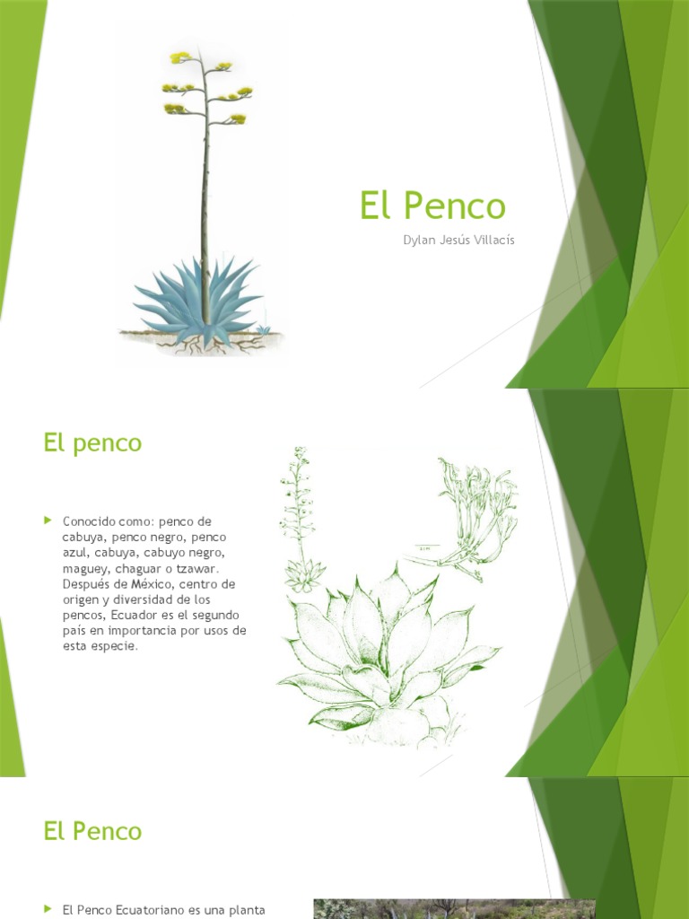 El Penco | PDF