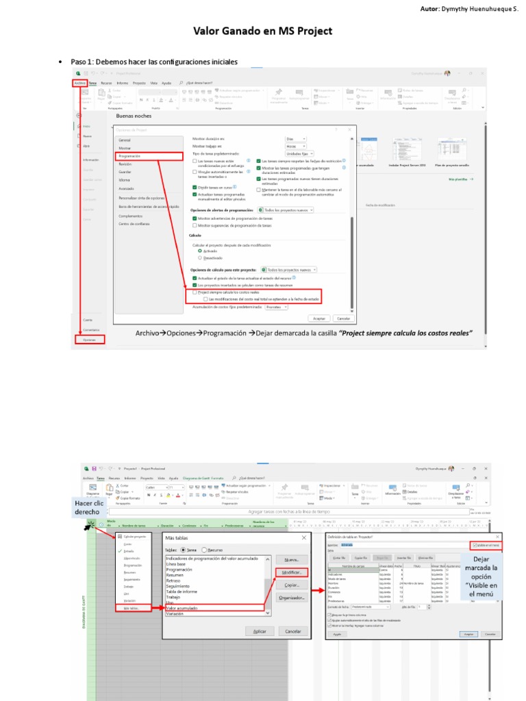 Paso a Paso Valor Ganado MS Project | PDF