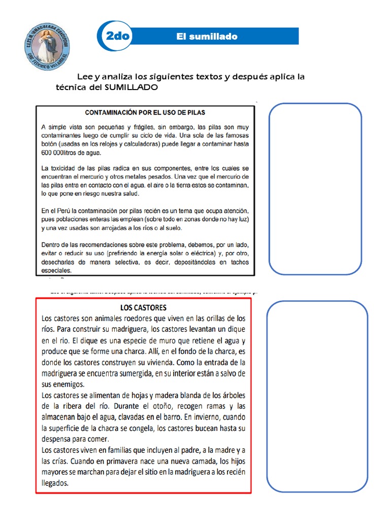 Practica Del Sumillado | PDF