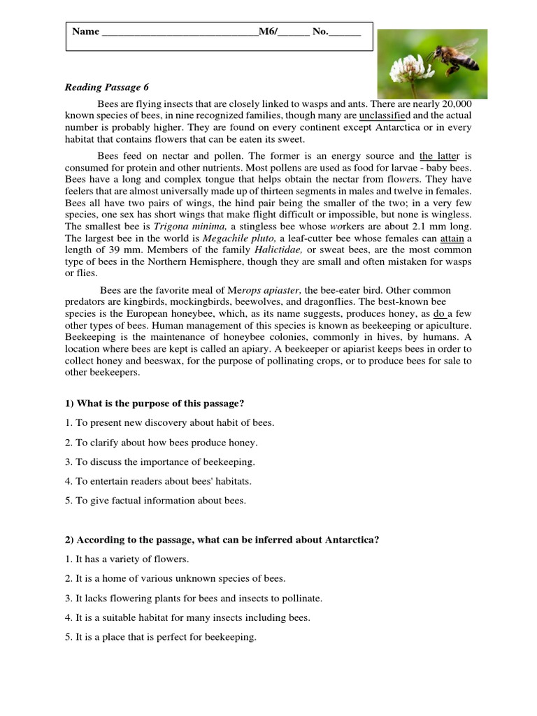 Reading Passage 6 Bee | PDF