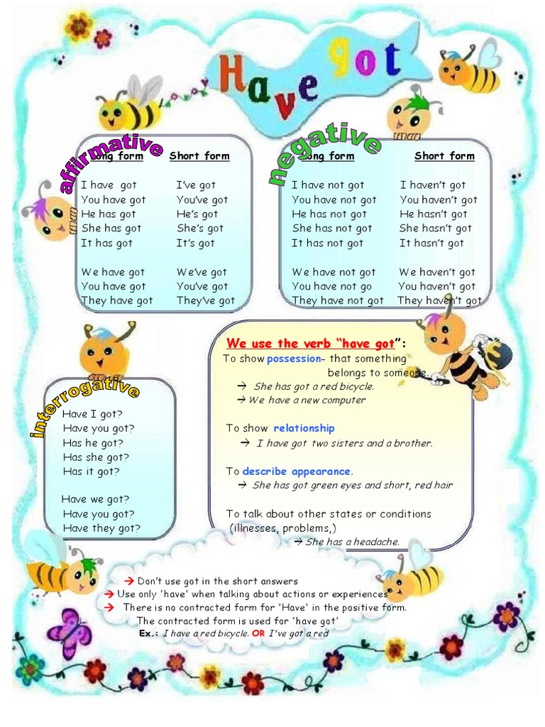 "Have Got" Usage and Contractions | PDF