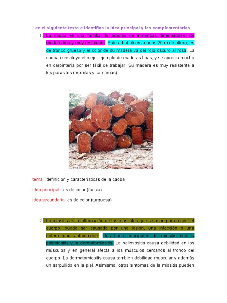 Lee El Siguiente Texto e Identifica La Idea Principal | PDF