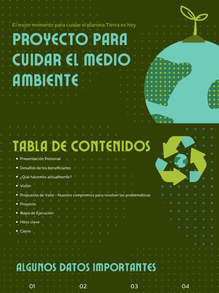 Proyecto para Cuidar El Medio Ambiente | PDF | Negocios