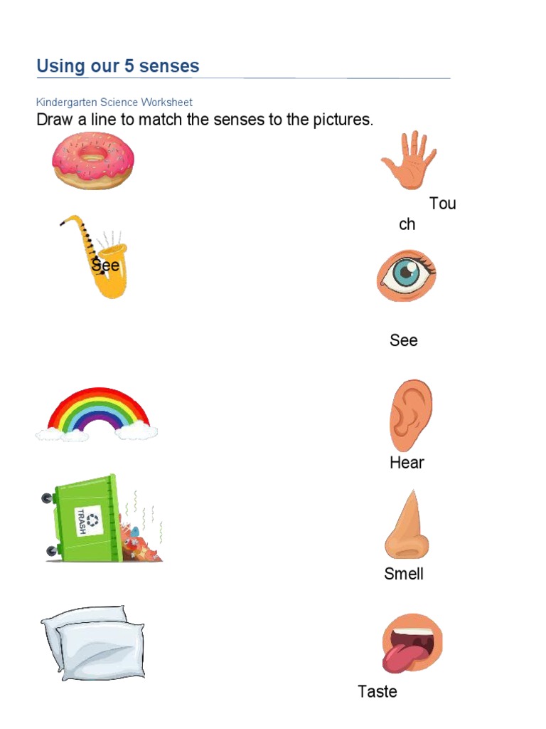 Five senses worksheet | PDF