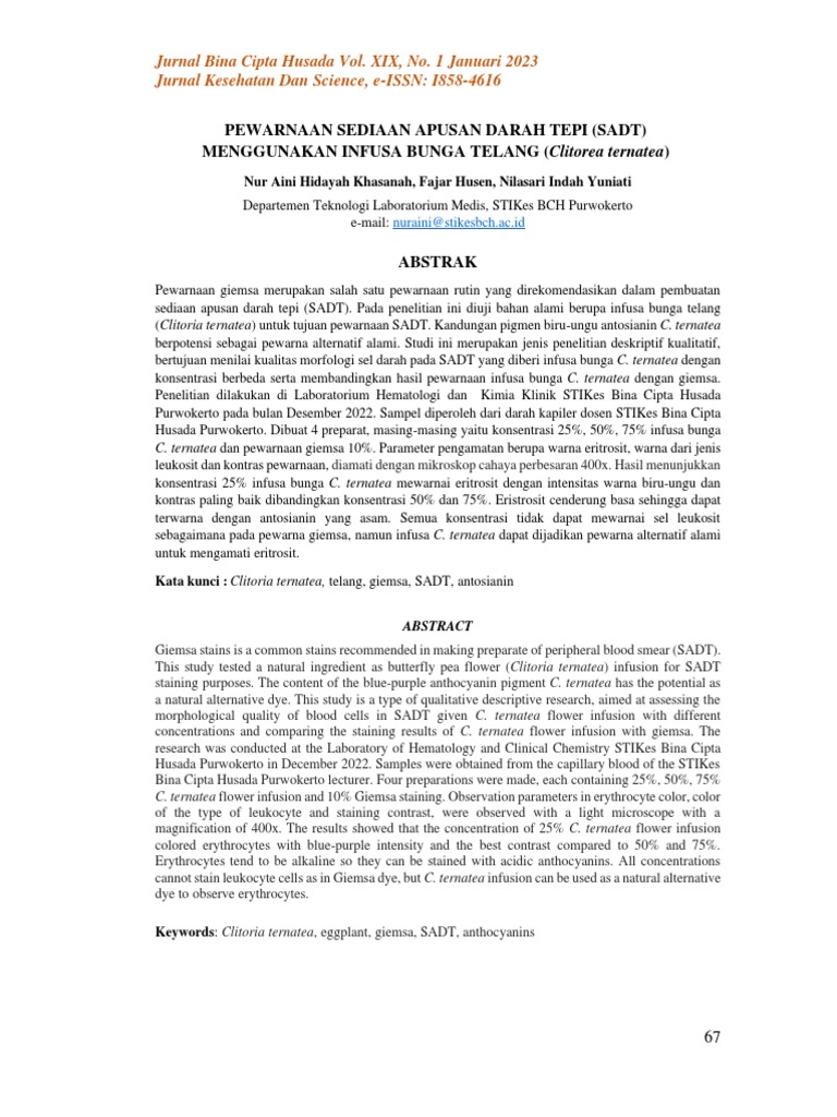 7 +Nur+Aini+et+al +2023 | PDF