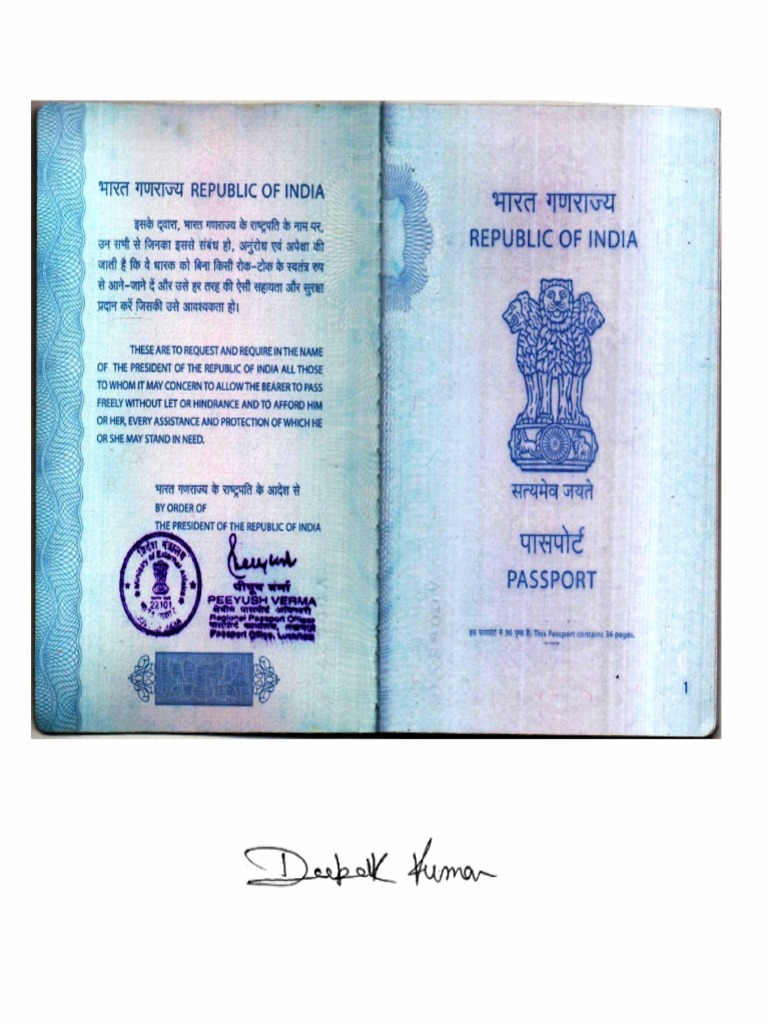 Singn Passport | PDF