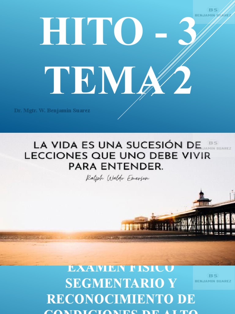 Hito 3 Examen Fisico Segmentario y Condiciones de Alto Riesgo | PDF | Lesión | Medicina CLINICA