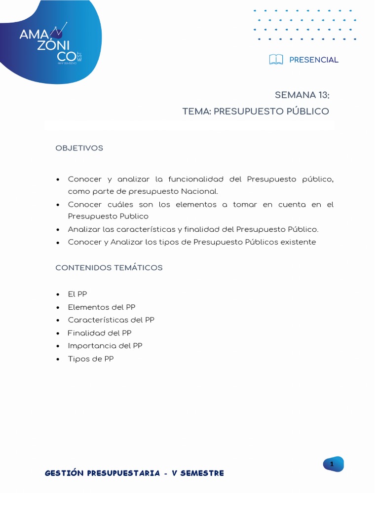 Presupuesto Publico | PDF | Presupuesto del gobierno | Presupuesto